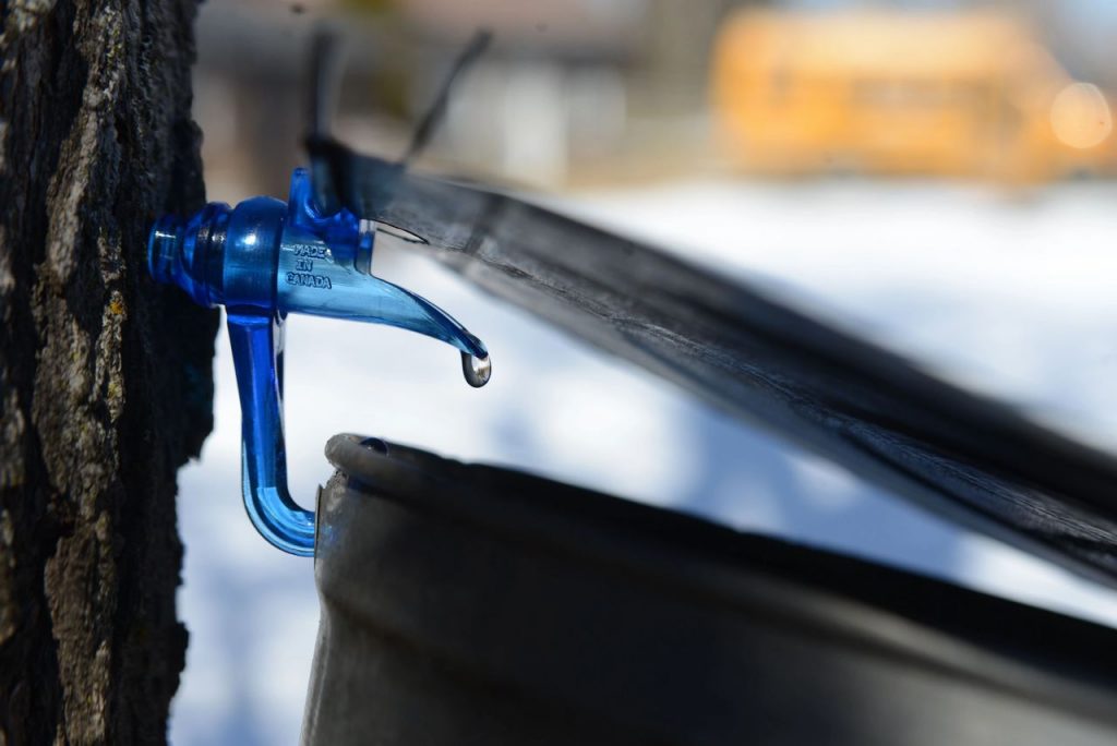 Sweet Ontario - the home for Ontario maple syrup