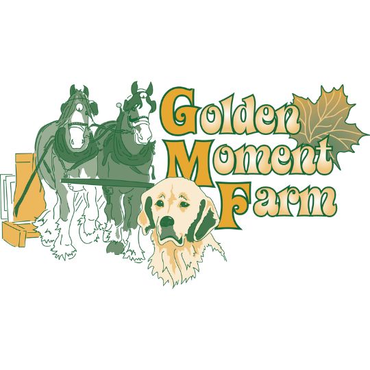 Golden Moment Farm - Ontario Maple