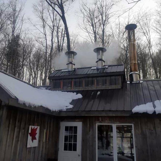 Koopman's Maple Mountain - Ontario Maple