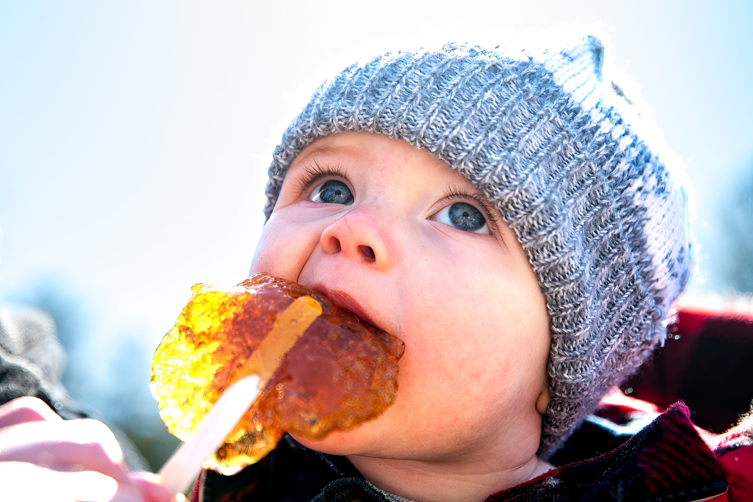 Maple Weekend - Ontario Maple